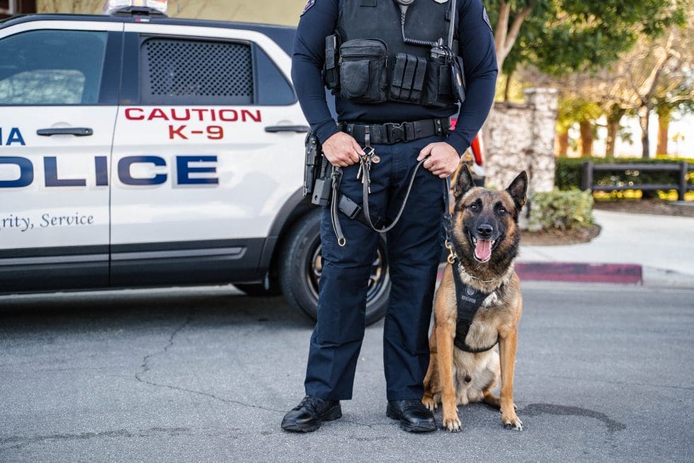 covina police department | Covina Police Department